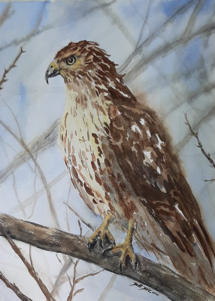 Beth Bale - Chatham Artists Guild