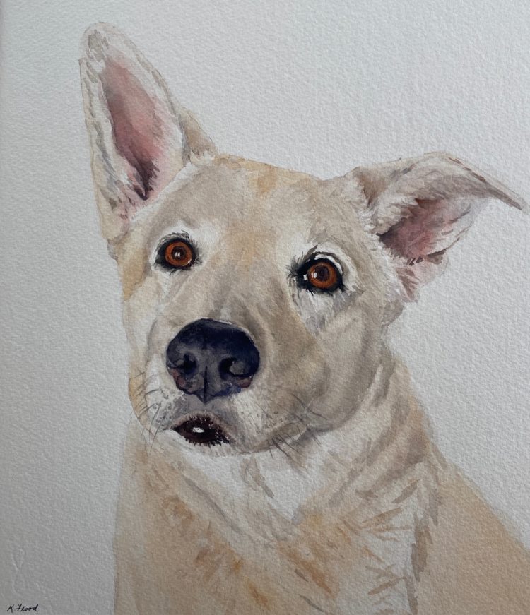 Artist Story: Kathy Flood - Chatham Artists Guild