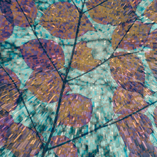 Eric Saunders - Chatham Artists Guild