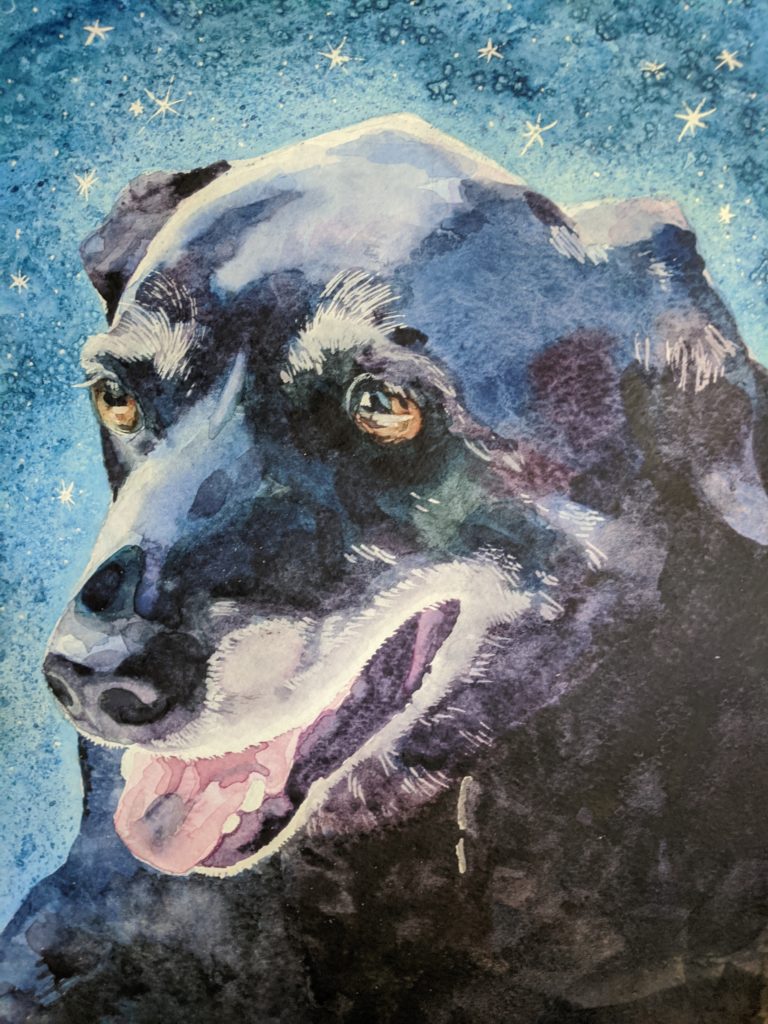 Nancy Ann Moore - Chatham Artists Guild