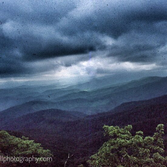 Artists - Chatham Artists Guild